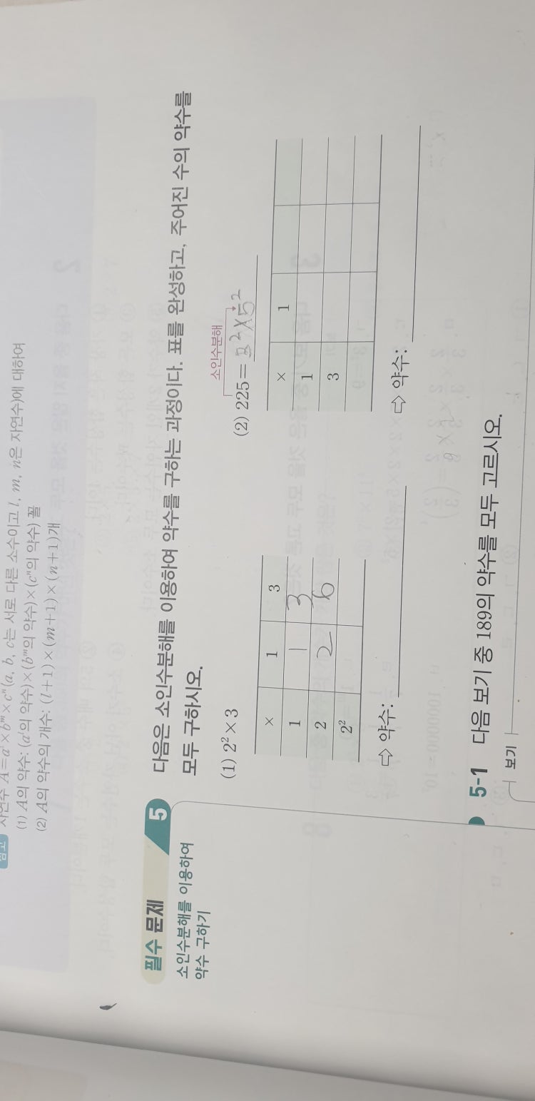 중1 1 소인수분해를 이용하여 약수와 약수의 개수 구하기 지식in