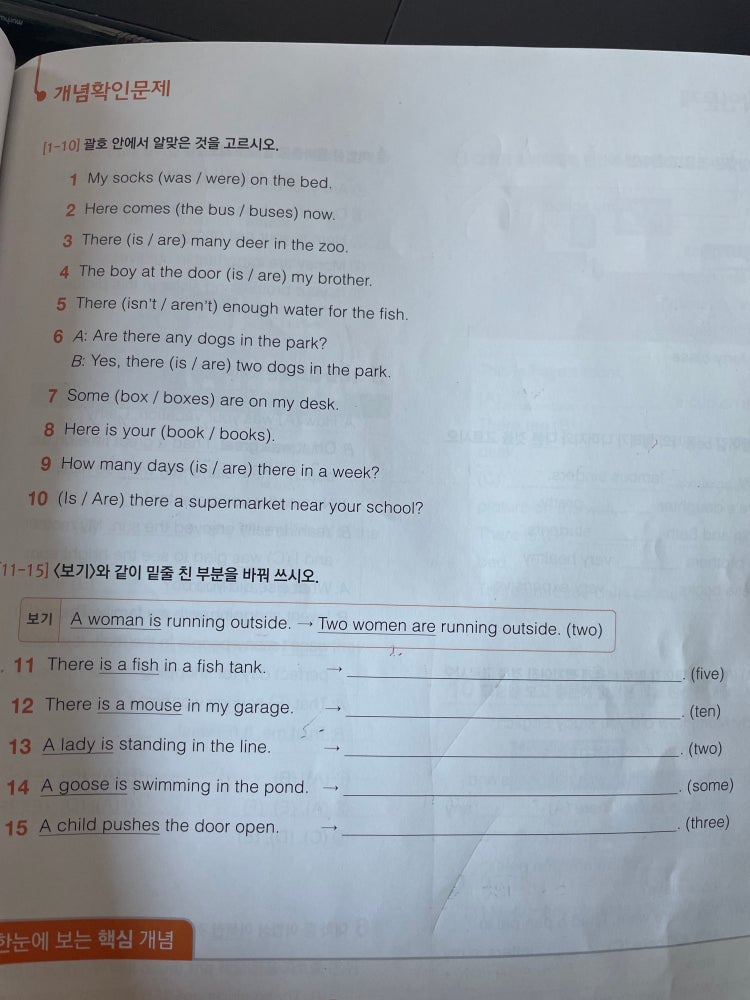 도와주세요 너무 급해요 지식in
