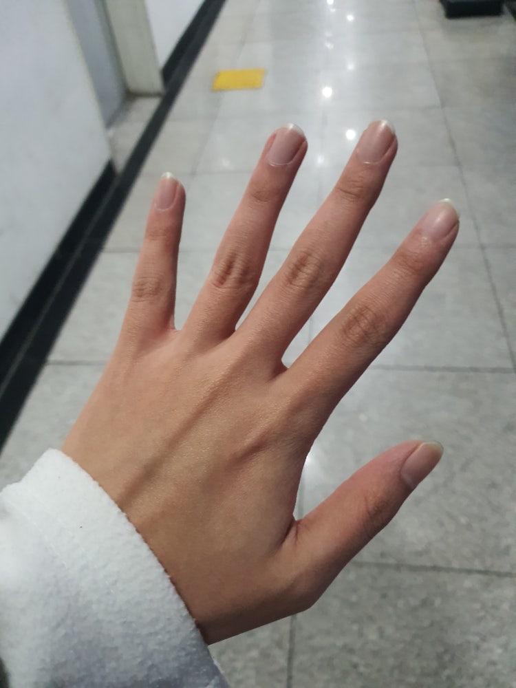 남자 손 모델 : 지식iN