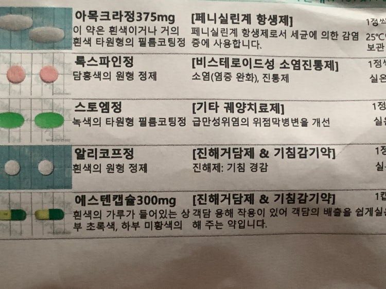 어제 술 먹었는데 감기약 먹어도 되나요 지식in