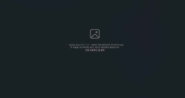 이거 컴퓨터 비디오가 안켜져요 지식in