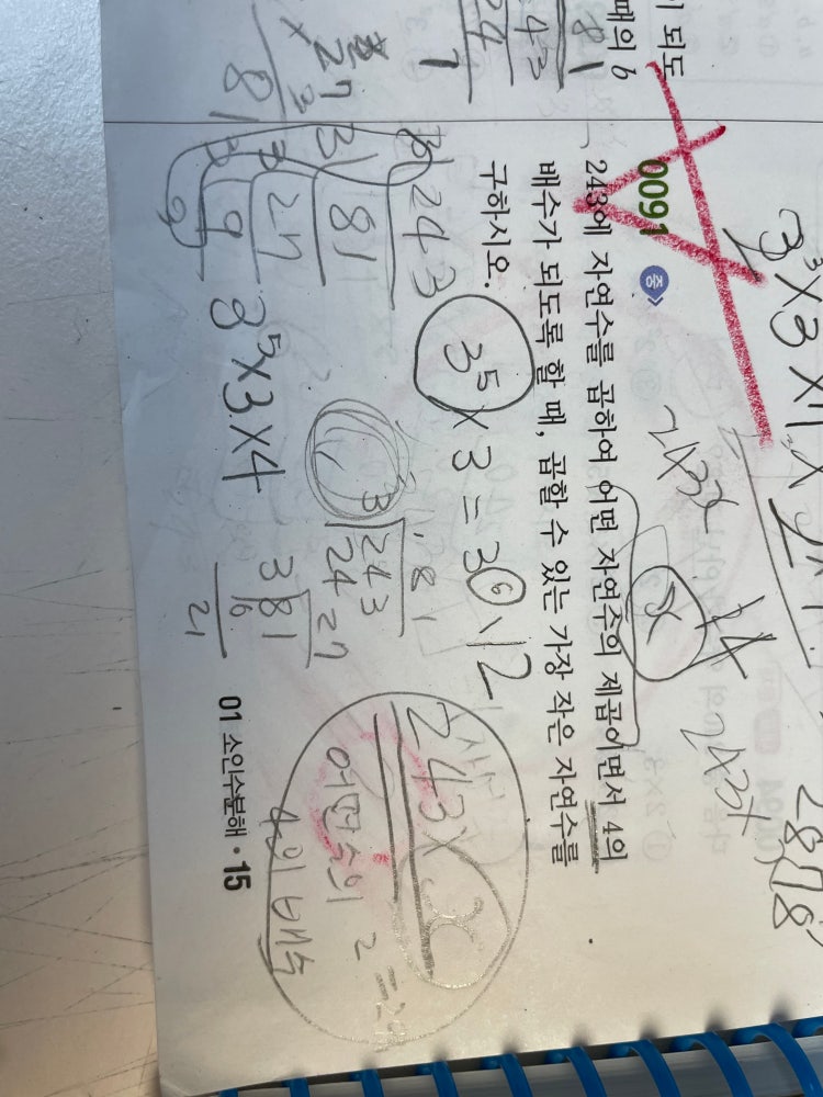 중 1 1 수학 소인수분해 응용문제 지식in