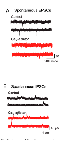 IPSC와 EPSC? : 지식iN