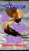 uiop 프로필 : 지식iN