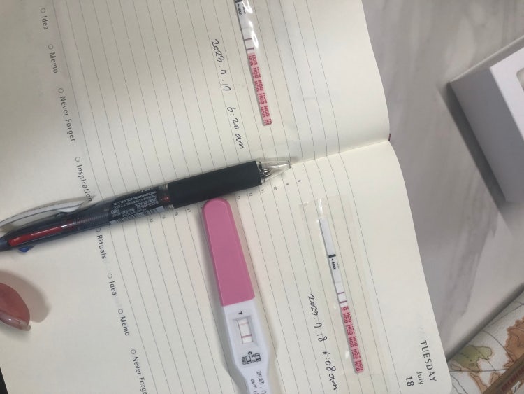 임테기 산부인과 피검사 수치 임신초기 지식in