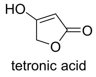 Tetronic acid의 4가지 토토머 구조 : 지식iN