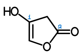 Tetronic acid의 4가지 토토머 구조 : 네이버 지식iN