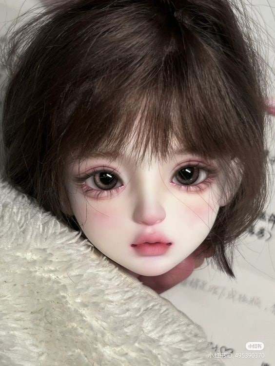 알리에서 이 인형 찾아주세요 지식in