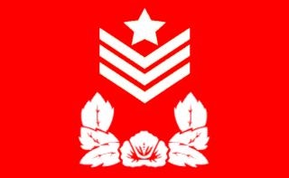 급함!!! 대한민국 국군 주임원사 상징마크 : 지식iN