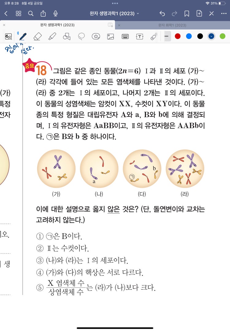 내공100 완자 생명과학1 유전 4 1유전의 원리 중 상동염색체와 대립유전자 18번 문제 풀이좀 해주세요 ㅜㅜ 지식in