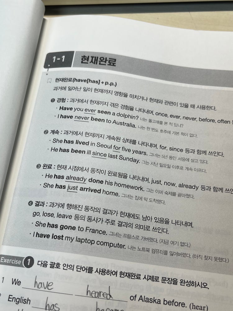영어 문법책 찾아주세요 지식in