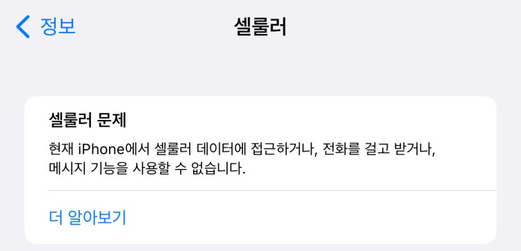 아이폰 서비스 없음 셀룰러 문제 지식in