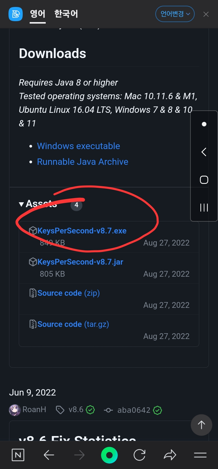 리듬게임 키뷰어 - https://github.com/RoanH/KeysPerSecond/...