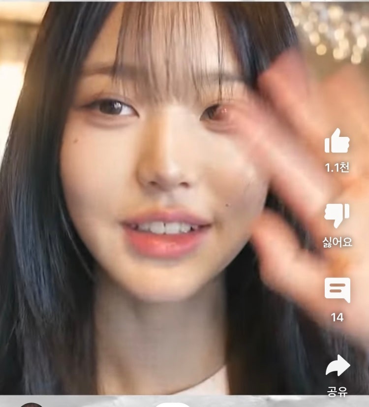 틴트 추천 지식in