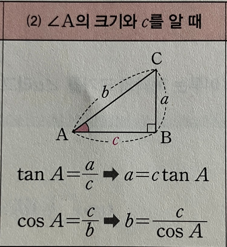 직각삼각형 변의 길이 구하기 : 지식iN