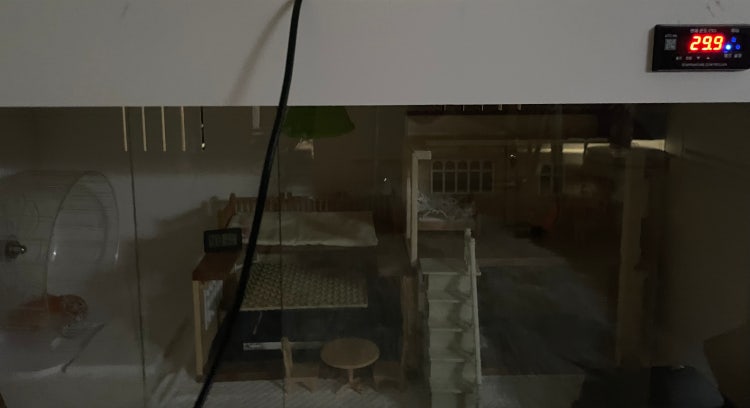 레오파드 게코 자동온도조절 사육장 2년 정도 됨 지식in