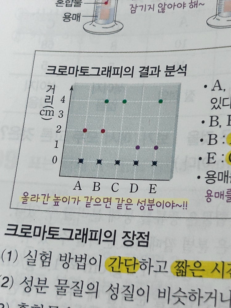 크로마토그래피 결과분석 이해가 안돼요 지식in