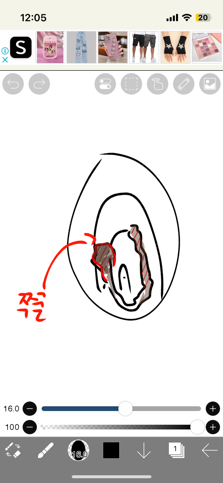 여자 생식기 한쪽만 이상함 지식in