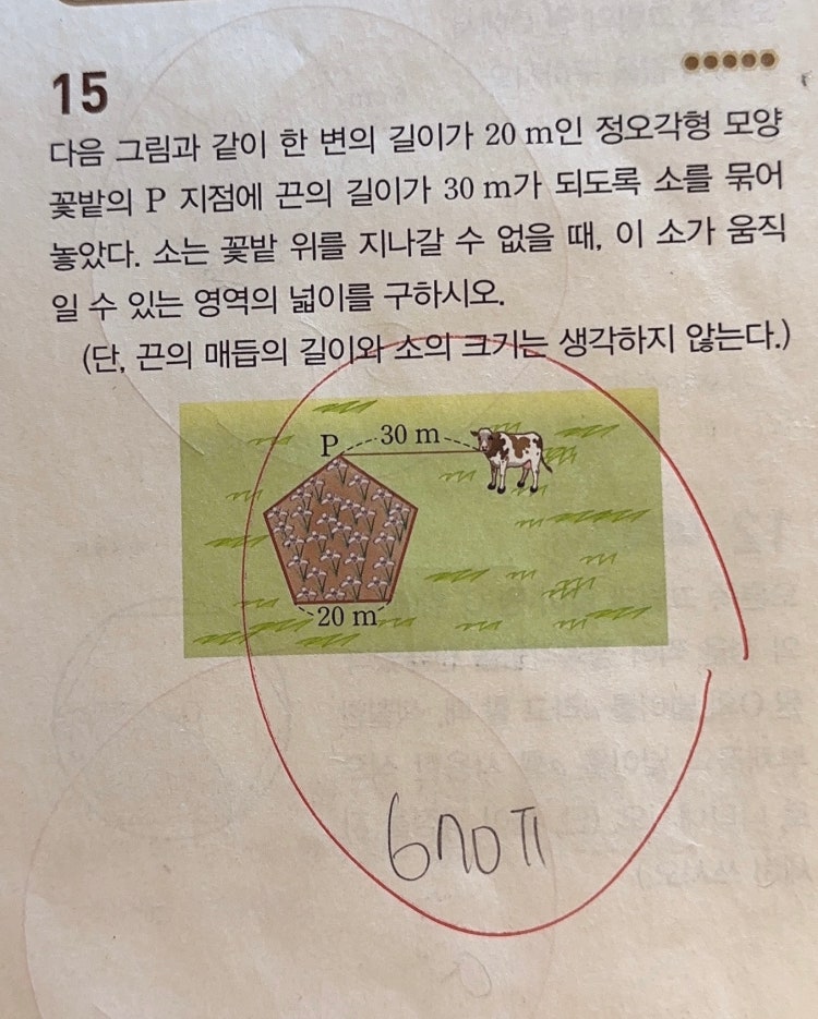 중1 수학문제 풀이 부탁드려요 지식in