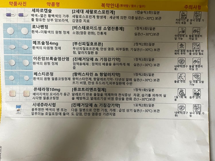 인후통 약간의 몸살 있어서 이비인후과 가서 약 처방 지식in