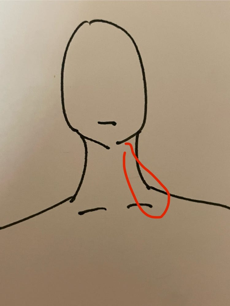 목과 어깨 사이 통증 지식in