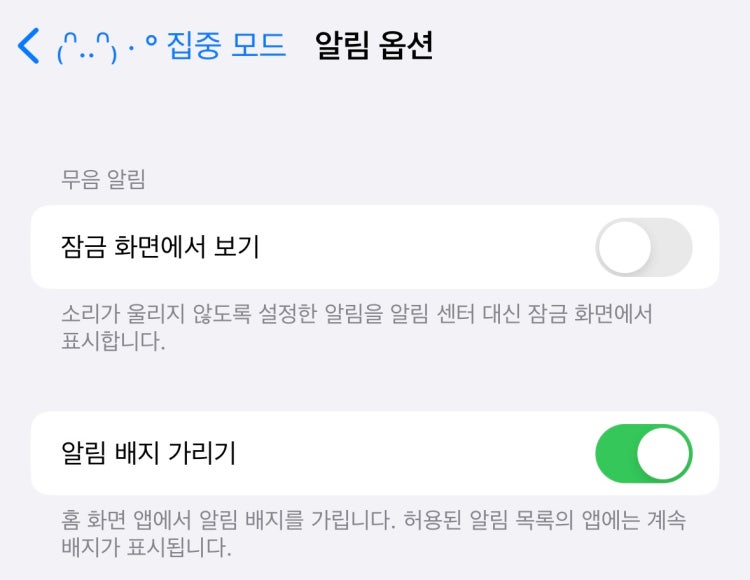 아이폰 집중모드 앱 위에 빨간색 알림 숫자 지식in