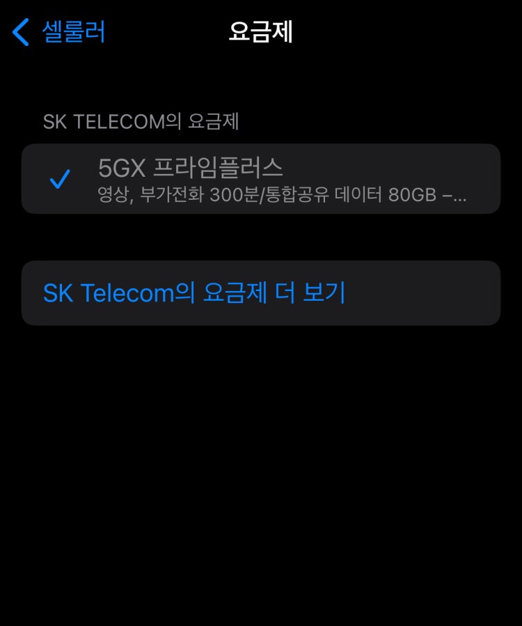 SKT 5GX 프라임플러스 쓰고 있는데 데이터 잔량 : 지식iN