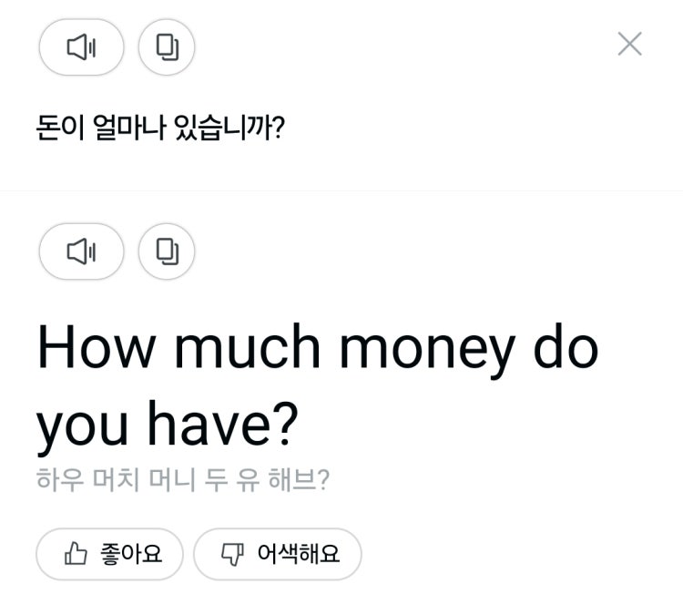How much money do you have? : 지식iN