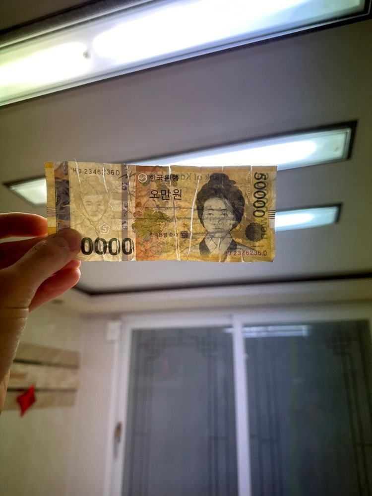 이정도로 찢어진 지폐 교환 가능할까요 지식in