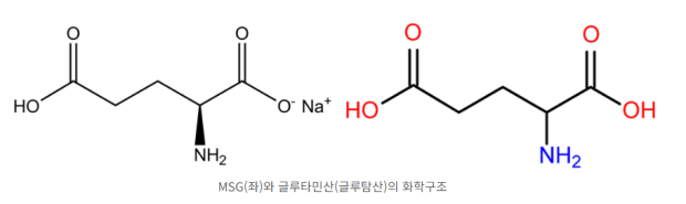 글루탐산 글루타민산 같은 건가요 지식in