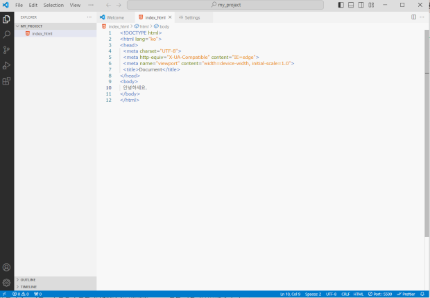 VSC HMTL body tag live server안 : 지식iN