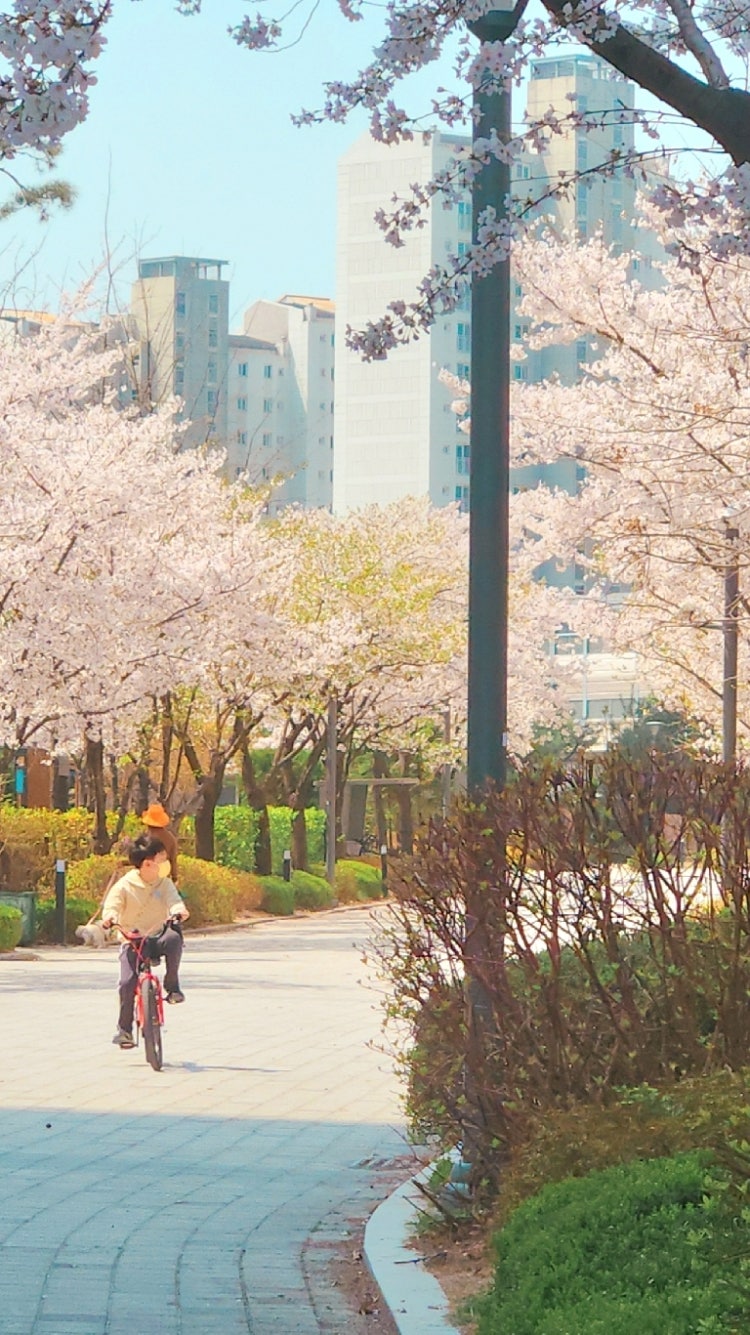 사진 어때요 : 지식iN