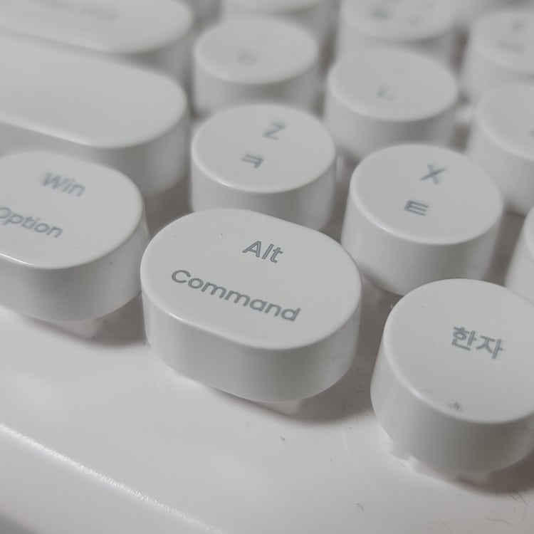 Alt/command 키 전환 : 지식iN