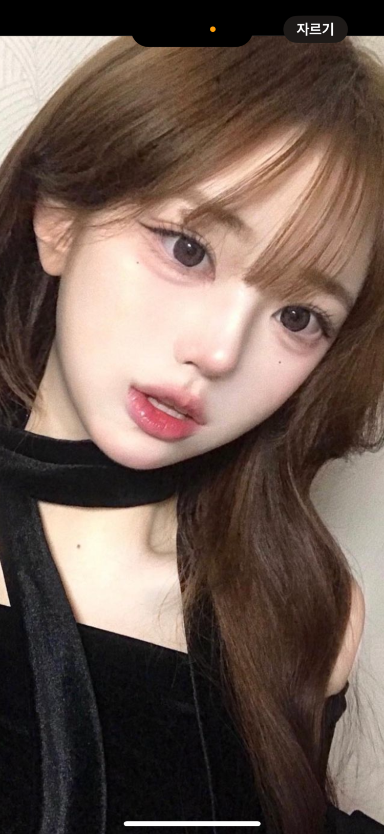 성형 질문 지식in