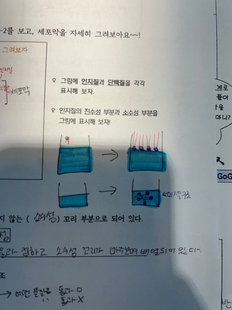 고1 생명과학 세포막의 구조 선택적투과성 지식in