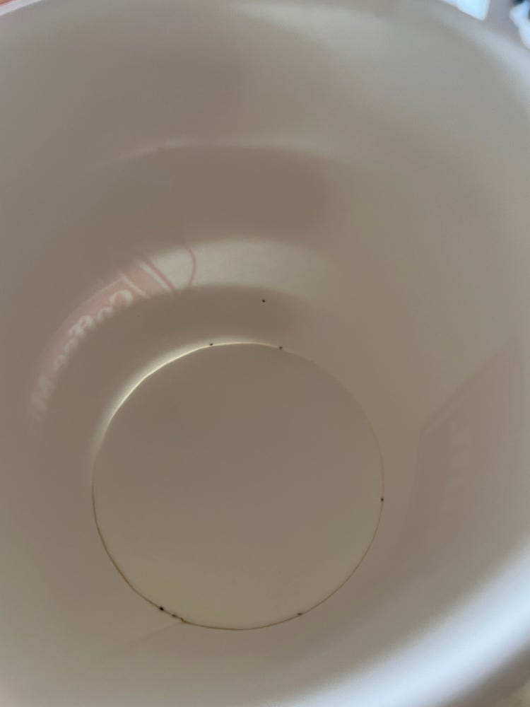집에 작은 벌레 지식in