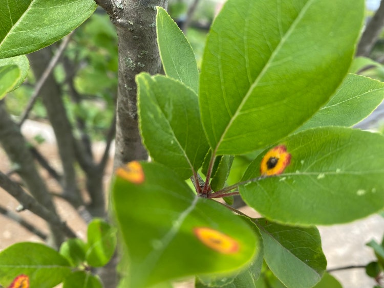 무슨 병인가요? : 지식iN