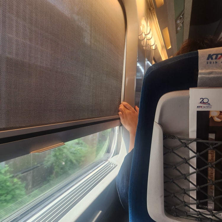 Ktx 열차 창문 블라인드는 뒷사람 것도 맞지 않나요? : 지식iN
