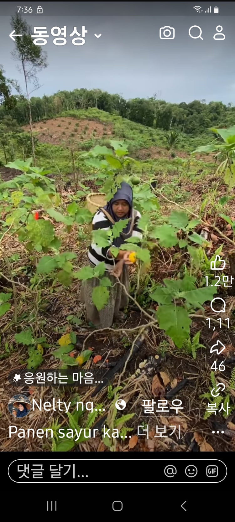 열매 질문 : 지식iN