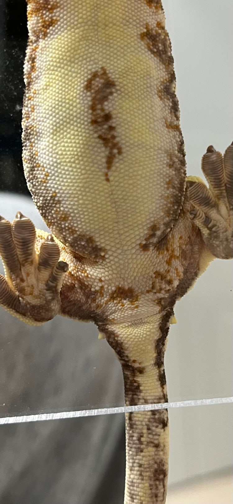 크레 천공 : 지식iN