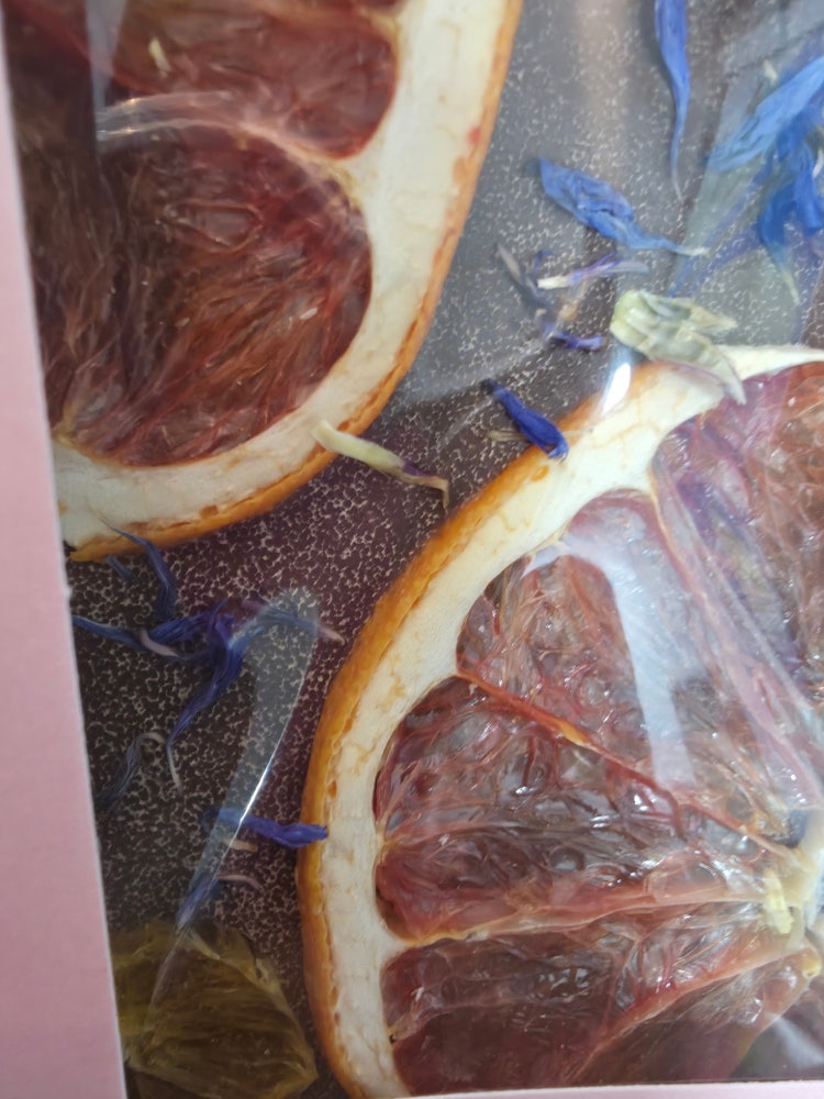 초콜릿 곰팡이인가요 지식in