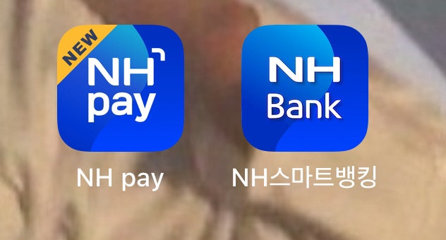NH PAY, NH 스마트뱅킹 차이점이 뭔가요?? : 지식iN