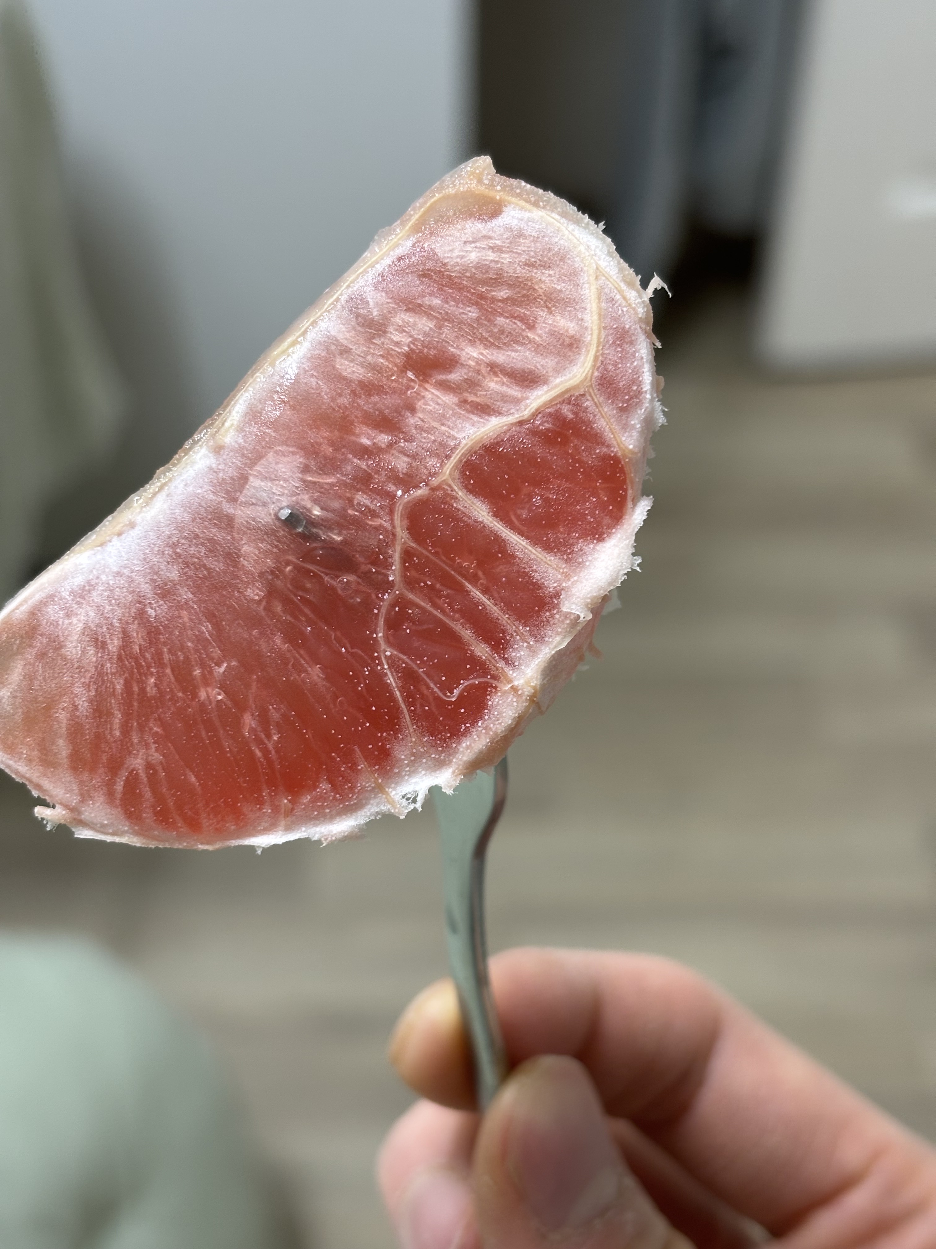 자몽 까둔 겉면에 하얀 점 : 네이버 지식iN