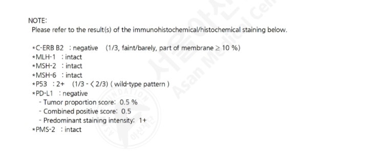 조직검사 결과 p53 : 2+ 무슨 뜻인가요? : 지식iN