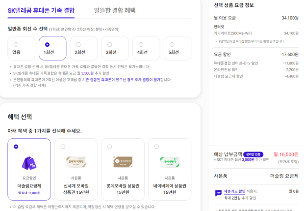 SKT 2030 다이렉트인터넷 및 결합질문 : 지식iN