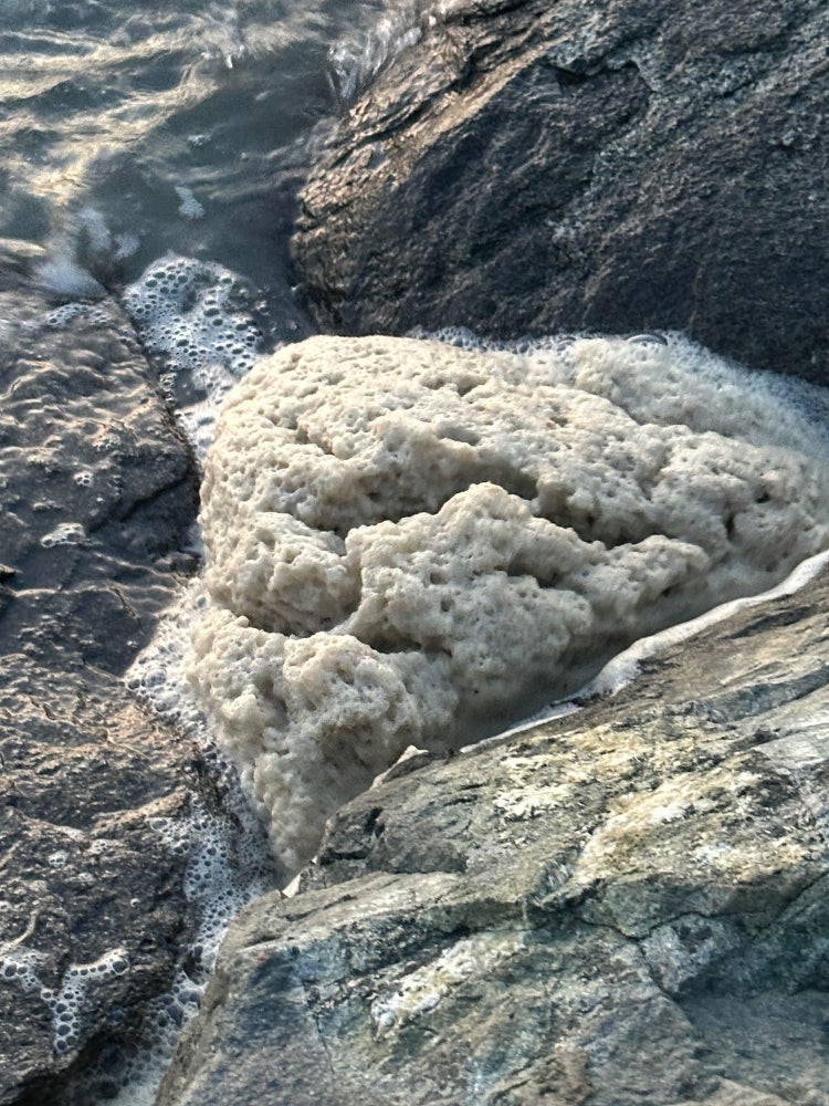 이게먼가요 : 지식iN