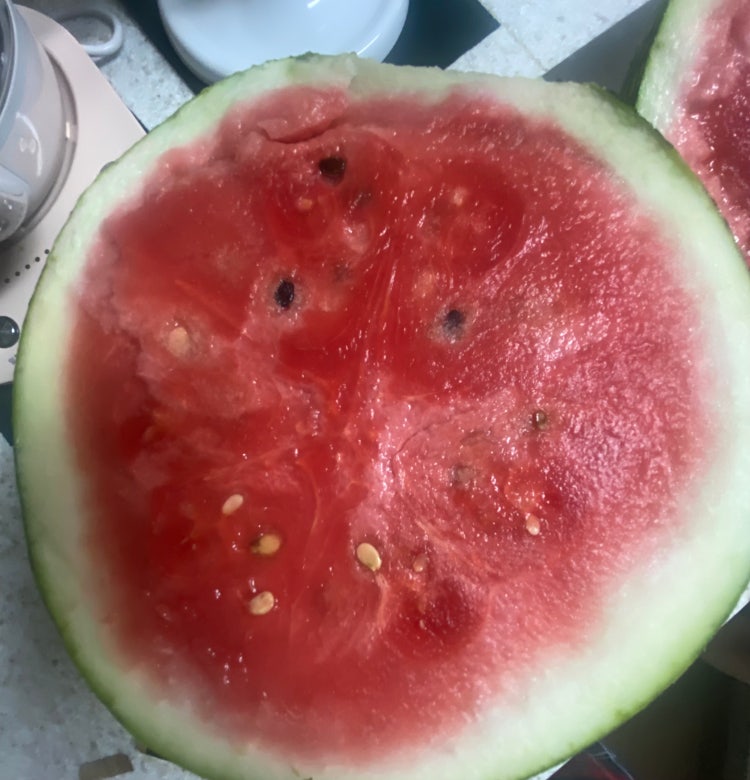 이 수박 먹어도 될까요? : 지식iN