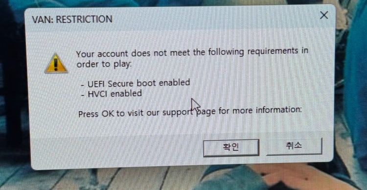 발로란트 VAN: restriction 질문 : 지식iN